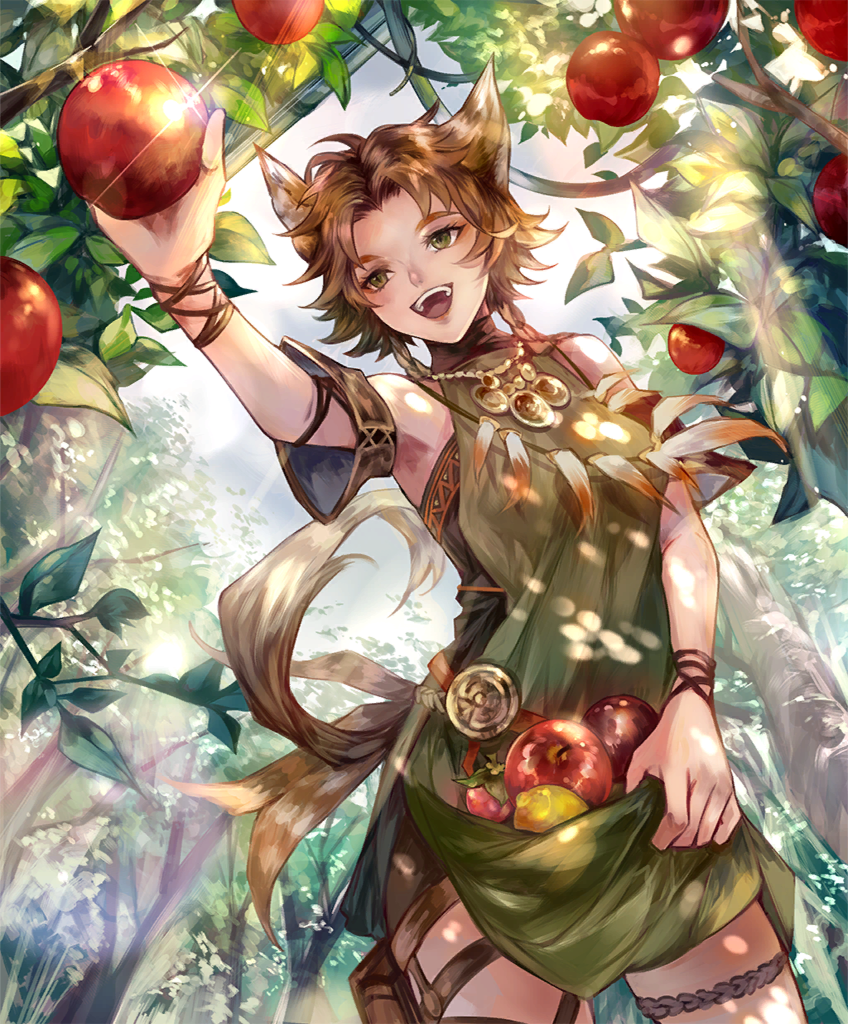 SVGDB - Shadowverse Database